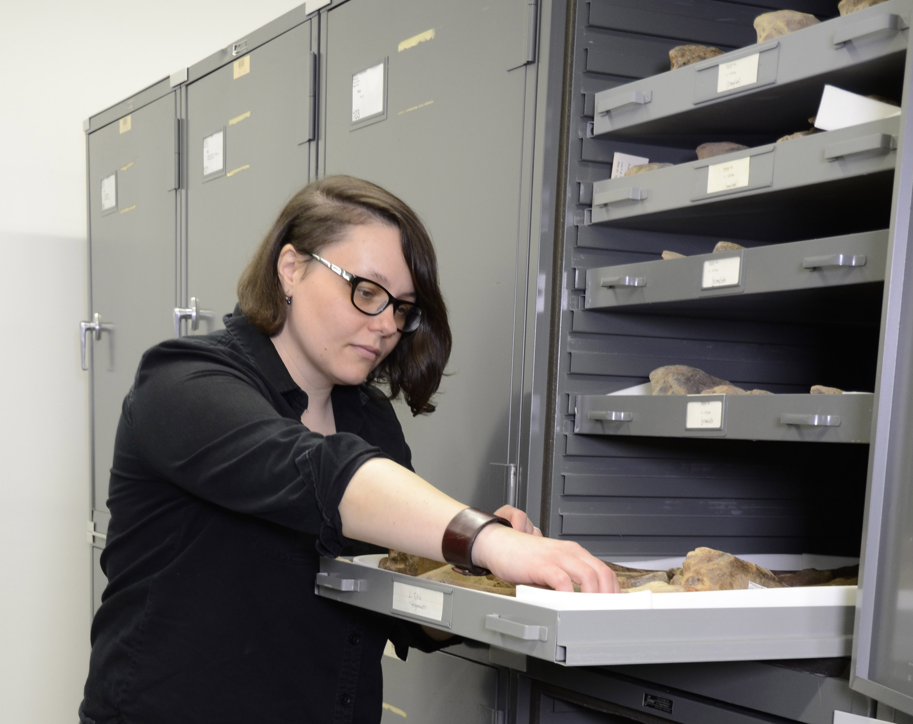 Danielle Fraser, PhD – Evolutionary Ecology at the Canadian Museum of ...